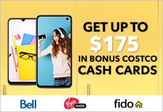 Costco Business Centre